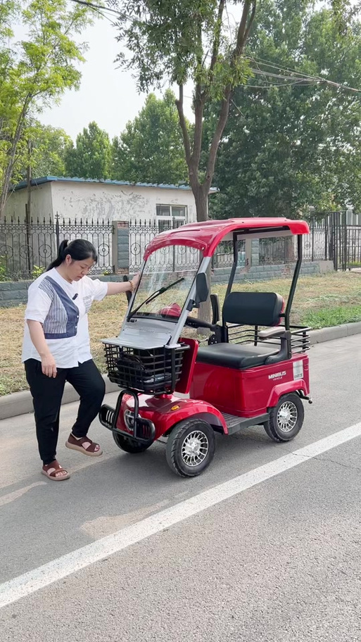 健步老年休闲车