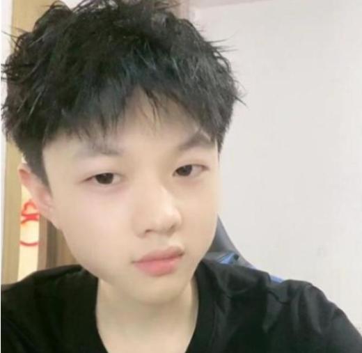 王者荣耀九天狐的照片图标