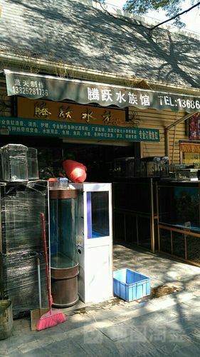 附近的鱼缸店图标