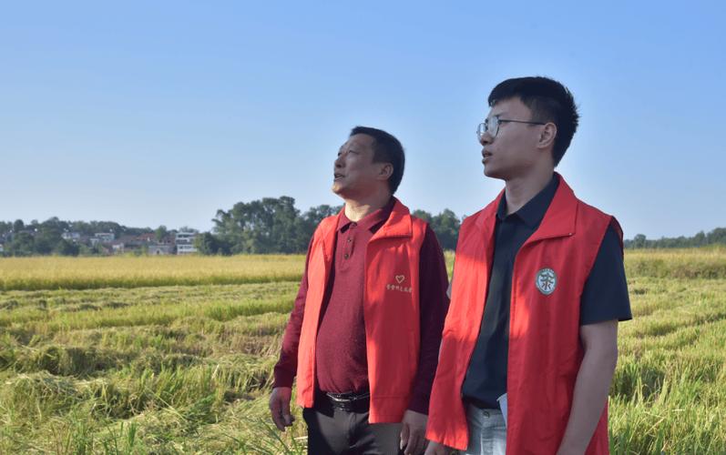 驻村感悟精辟句子图标