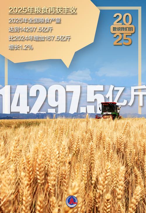 大农主最新消息2023截图