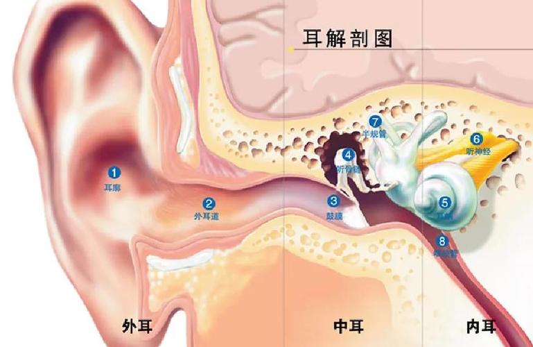 油耳怎么掏耳朵图标