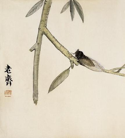 秋蝉作品推荐图标