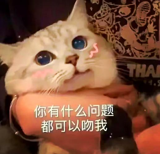 浪漫的表情包图标