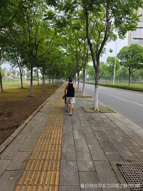 keep走路为什么没有记录图标