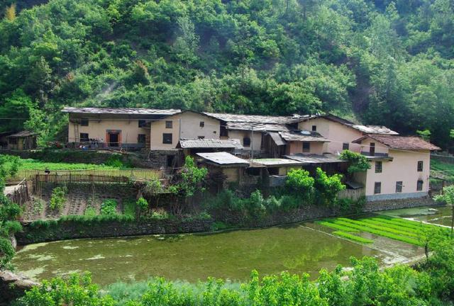 田园人家图标