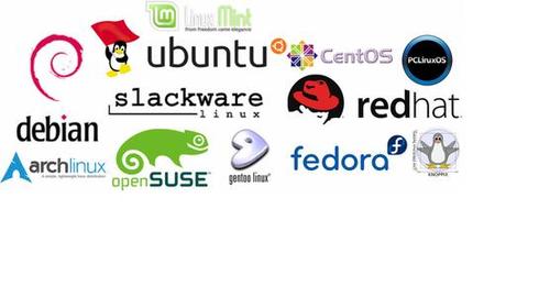 linux最新版本截图