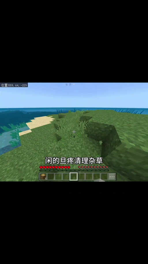 我的世界怎么没有杂草截图
