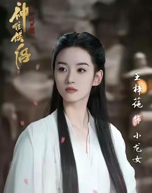 新版《神雕侠侣》2026截图