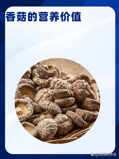 干香菇好还是新鲜香菇好图标