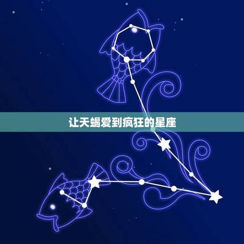 让天蝎爱到疯狂的星座图标