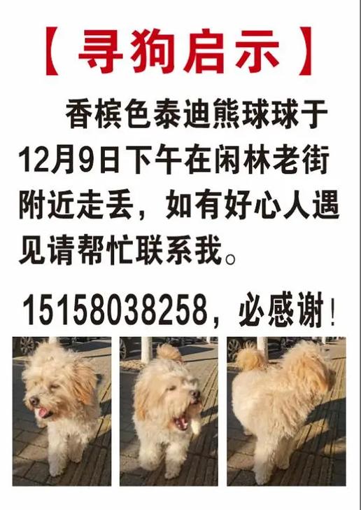 附近小商店图标
