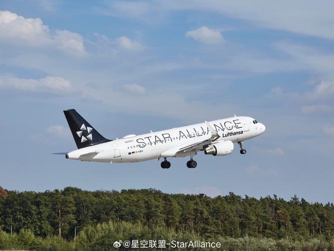 星空联盟会员图标