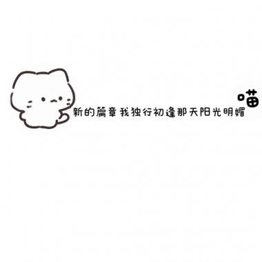 关于猫咪的文案图标