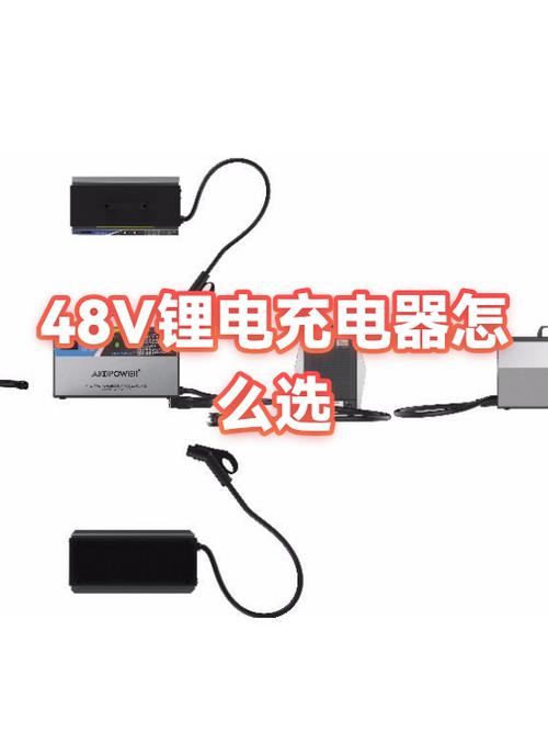 48v20a用多大充电器合适