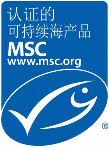 msc是什么意思图标