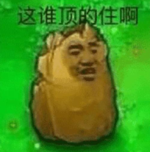 植物大战僵尸经典表情包大全图标