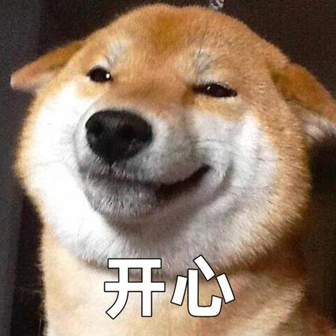 狗狗搞笑表情包截图