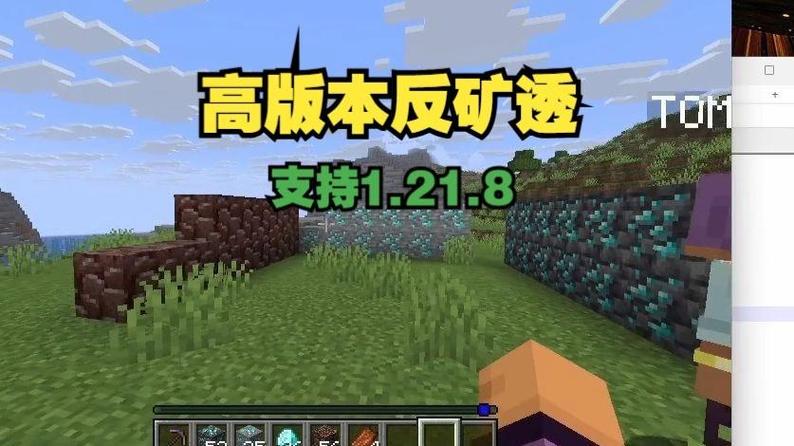 我的世界服务器反矿透图标