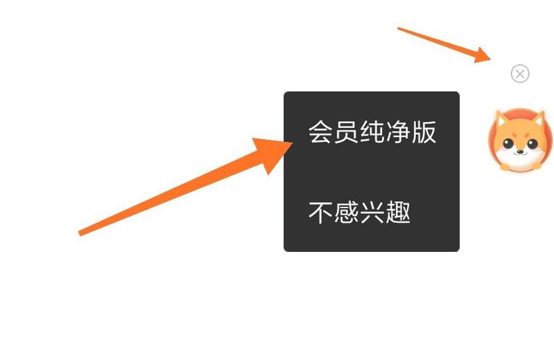 wps2023去广告永久会员版图标