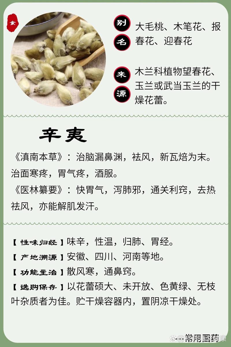 辛夷直接煎可以吗图标