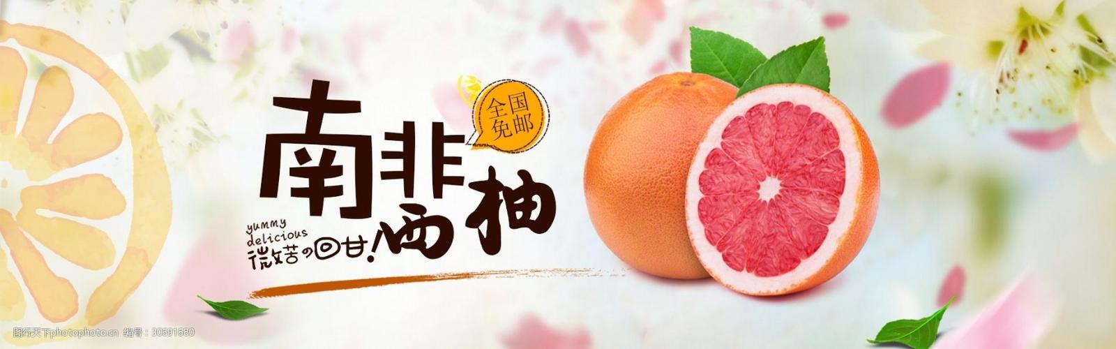 西柚查词官网APP图标