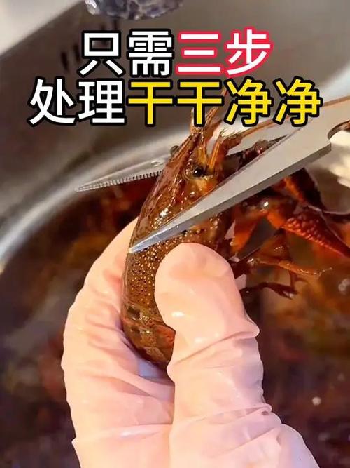 如何收拾龙虾图标