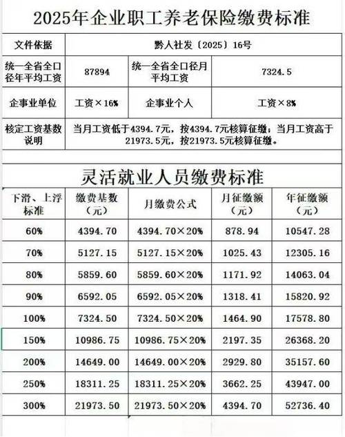 个人缴纳社保图标