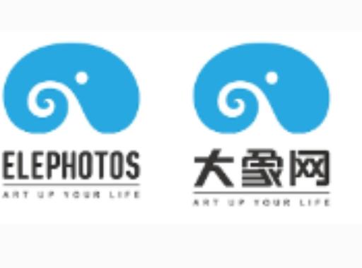 河南卫视大象网图标