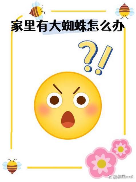 家里老是有蜘蛛怎么清除图标