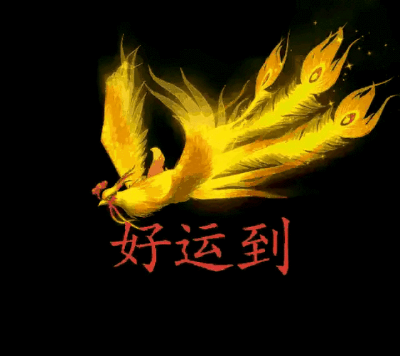 video送好运图标