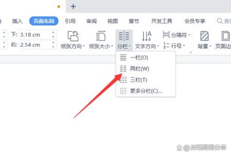 wps文档怎么分栏排版图标
