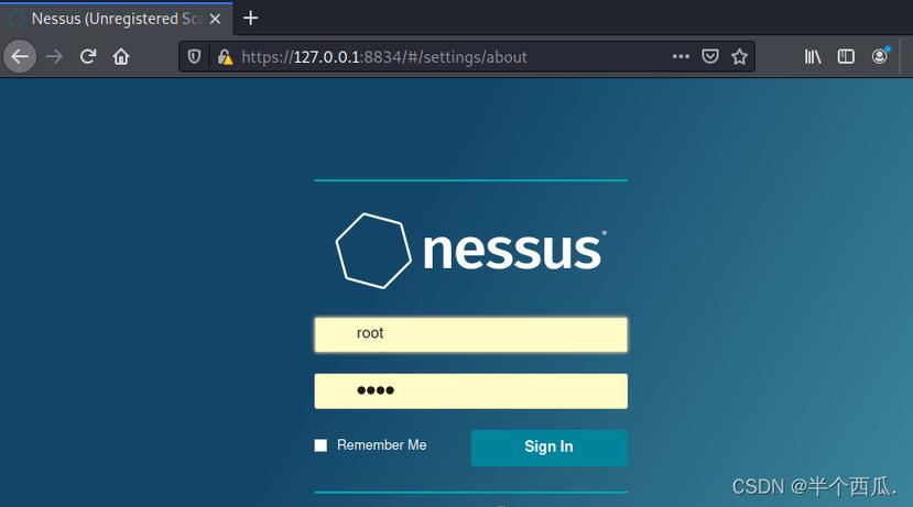 在线web漏洞扫描工具图标