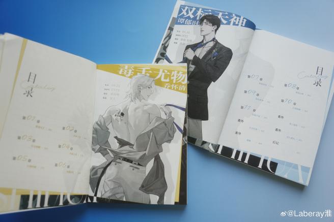 by冰块儿作品txt