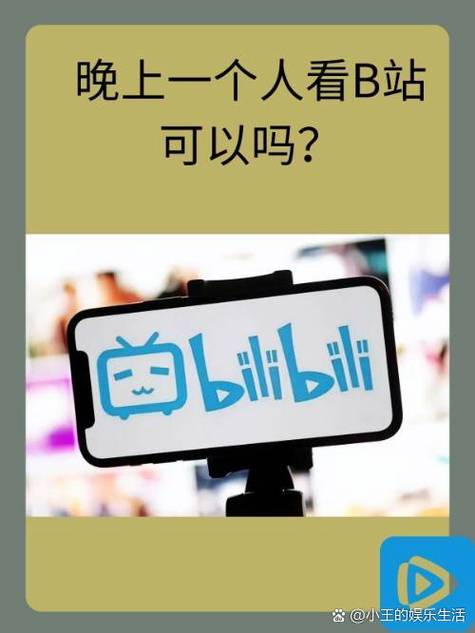 b站1电池多少钱图标