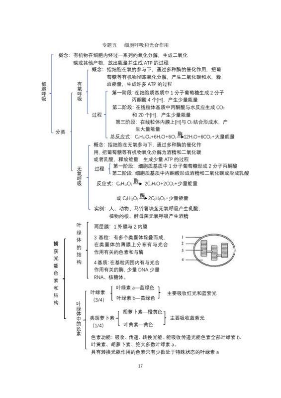 细胞呼吸思维导图手写图标
