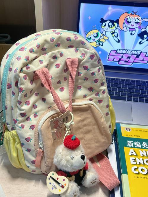 苏家小皇后书包截图