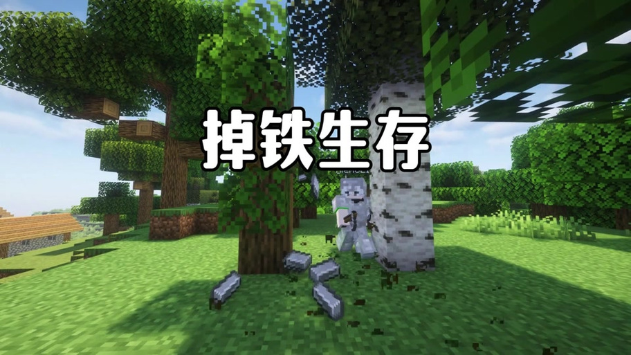 末影人能挖的方块图标
