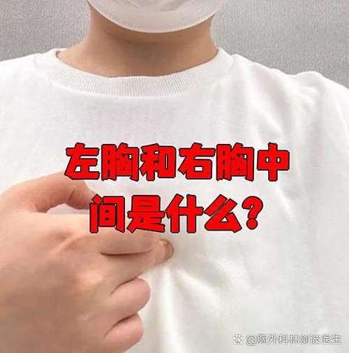 右胸中间是什么部位截图