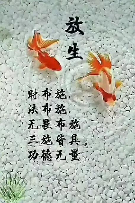 行善布施缩略图