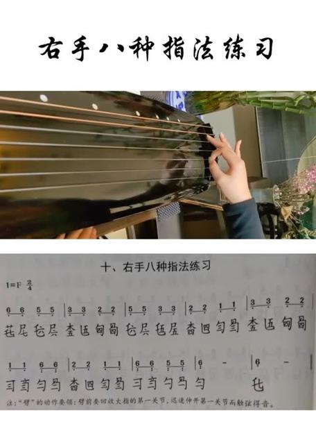 古琴教学基础入门视频图标