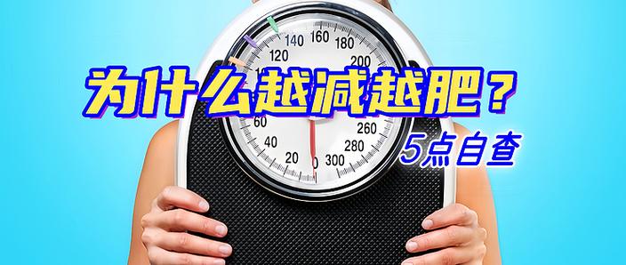 人越来越胖是什么原因