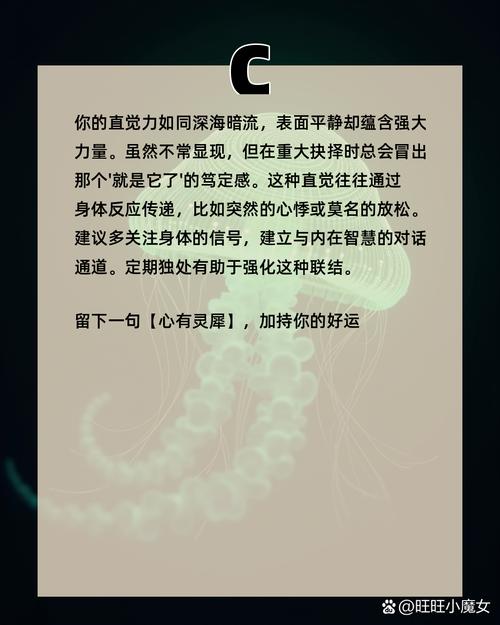 xy超级训练可以6v吗