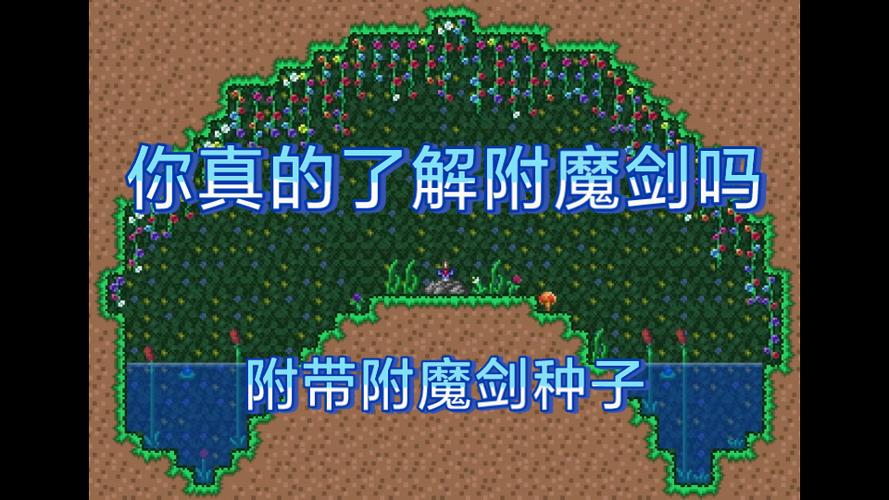附魔剑种子属性截图