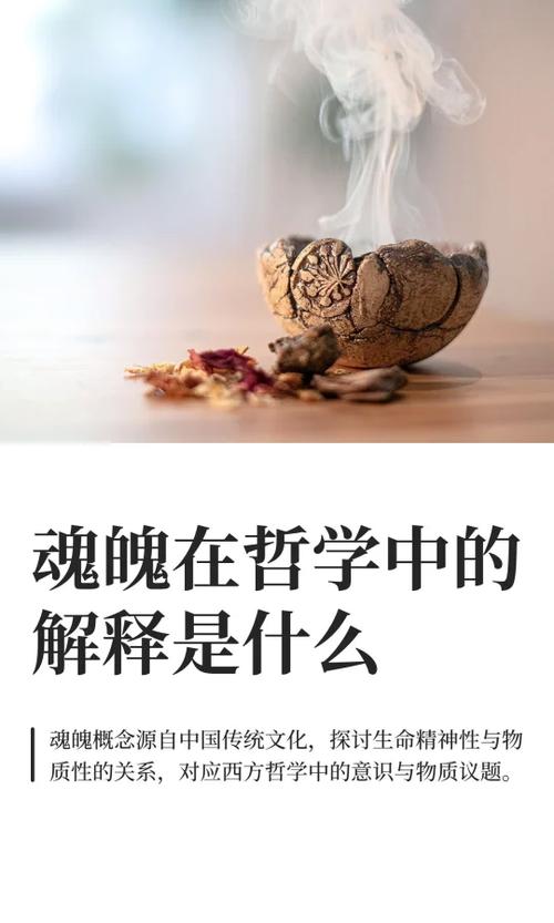 魂魄是什么意思图标