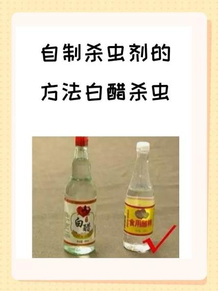 牙虫最简单的去除方法图标