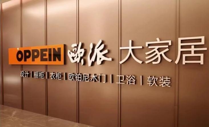 为什么一般人不买欧派图标