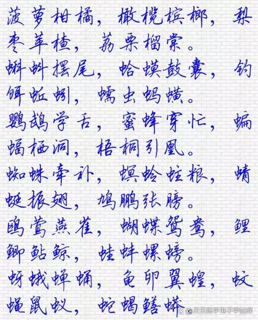 行楷字体怎么写图标