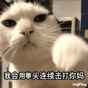 猫打你是什么意思图标