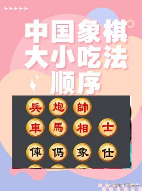 中国象棋的比赛规则图标